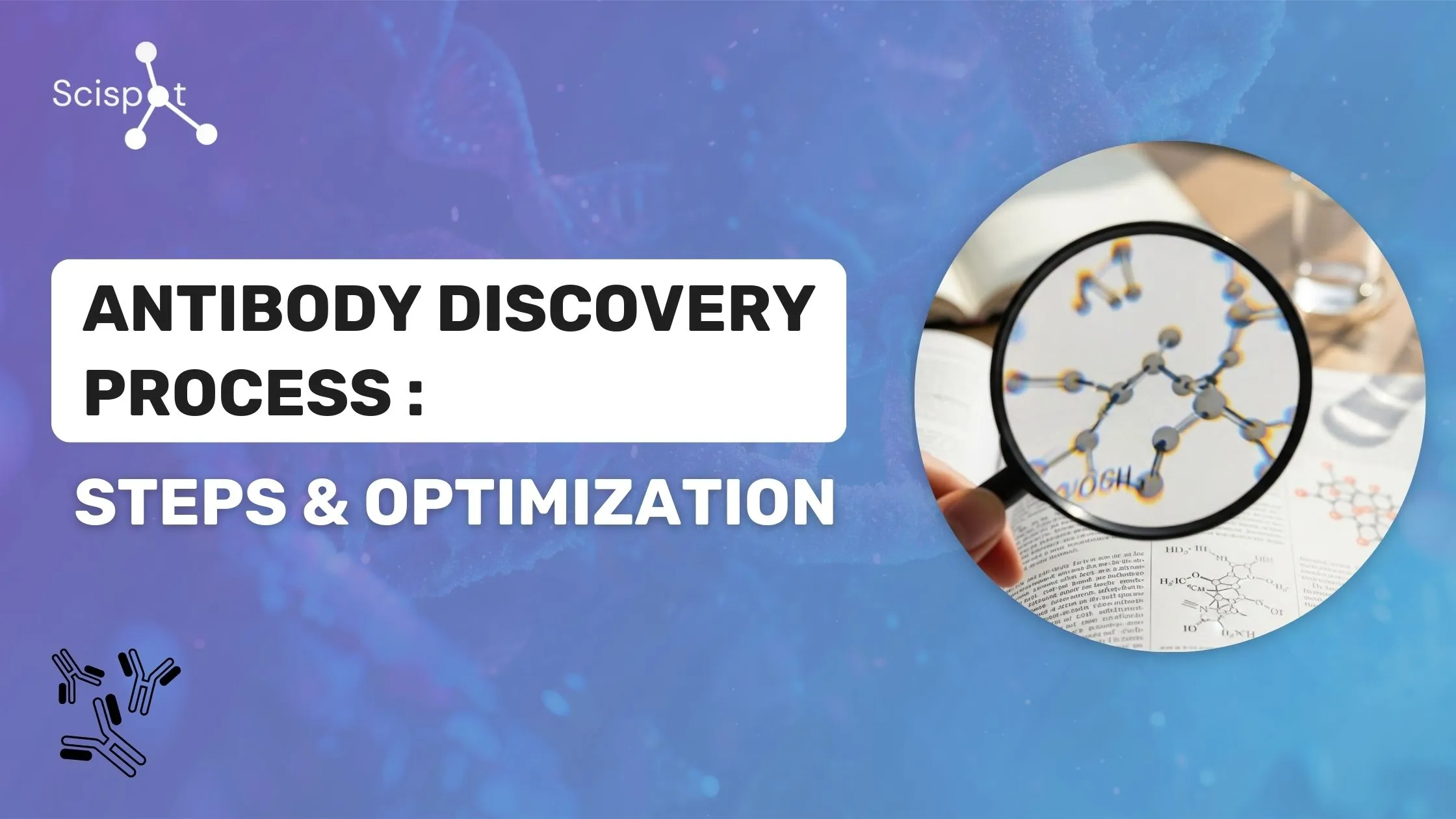 Antibody Discovery Process: Steps & Optimization | Trends